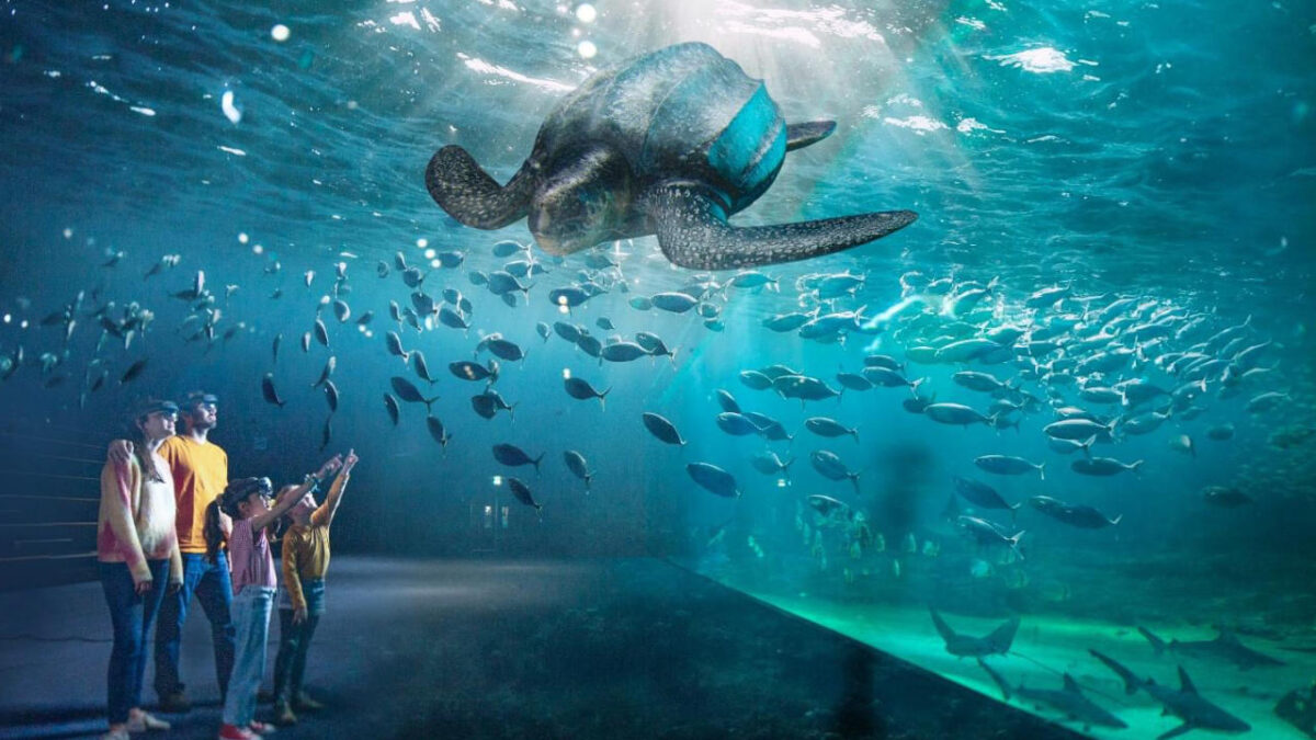 Aquarium Nausicaá à Boulogne-sur-Mer : visitez le plus grand aquarium d'Europe