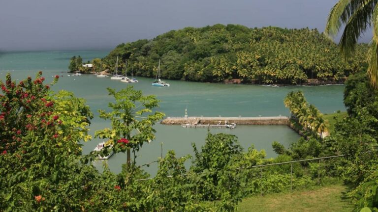 La Guyane : découvrez sa biodiversité