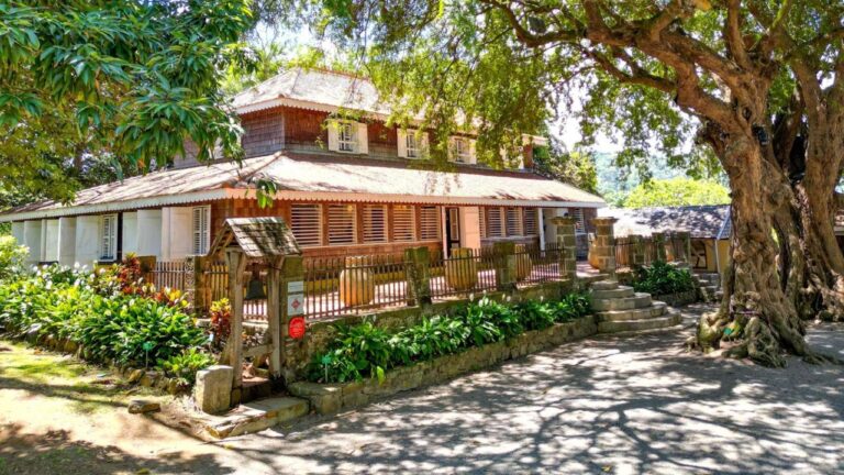 Visiter la Martinique : 7 sites incontournables à voir absolument